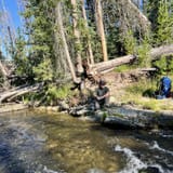 The Thorofare and South Boundary Trail, Montana - 41 Reviews, Map ...