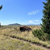 The Thorofare and South Boundary Trail, Montana - 45 Reviews, Map ...