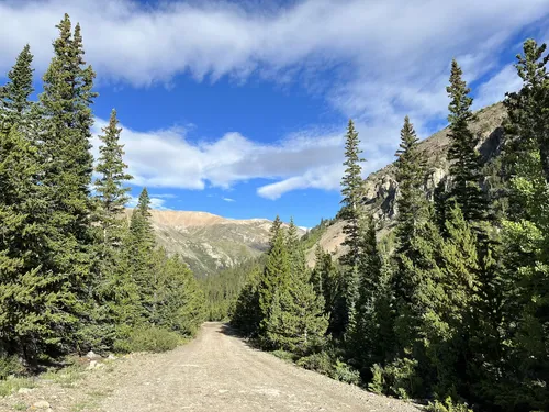 10 Best Trails and Hikes in Alma | AllTrails