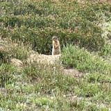 Lakes Basin via East Fork Lostine Trail, Oregon - 79 Reviews, Map ...