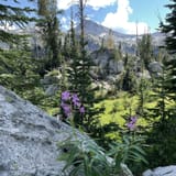 Lakes Basin via East Fork Lostine Trail, Oregon - 79 Reviews, Map ...