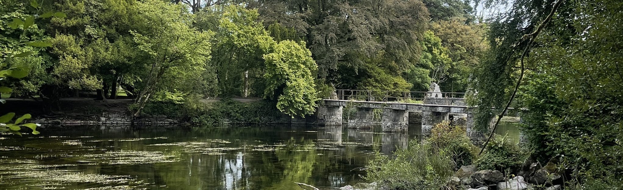 Guinness Tower and Cong Forest Loop, County Mayo, Ireland - 27 Reviews ...