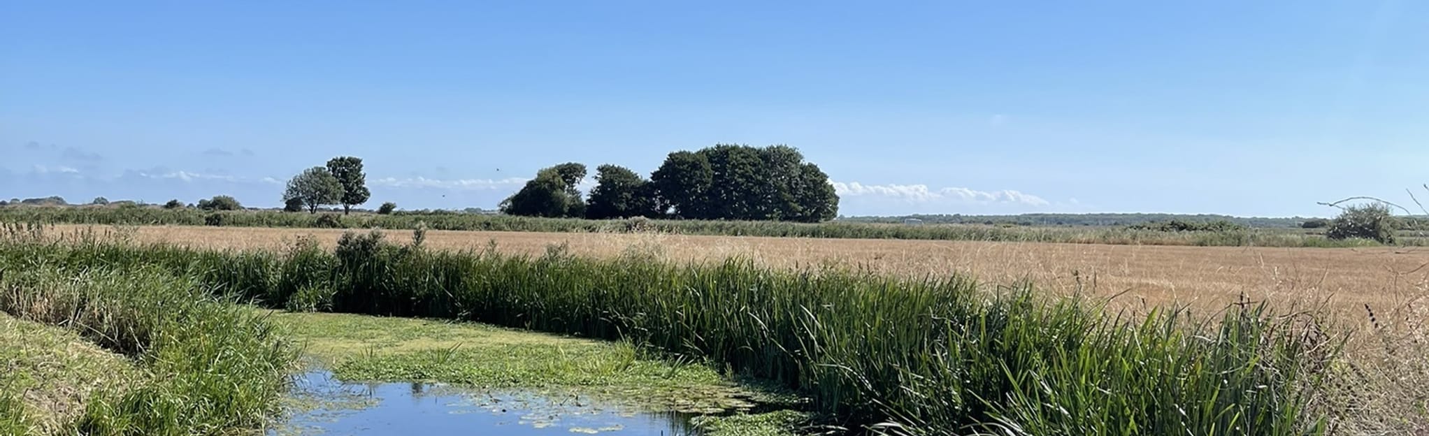Sandwich Walking Tour, Kent, England - 70 Reviews, Map | AllTrails