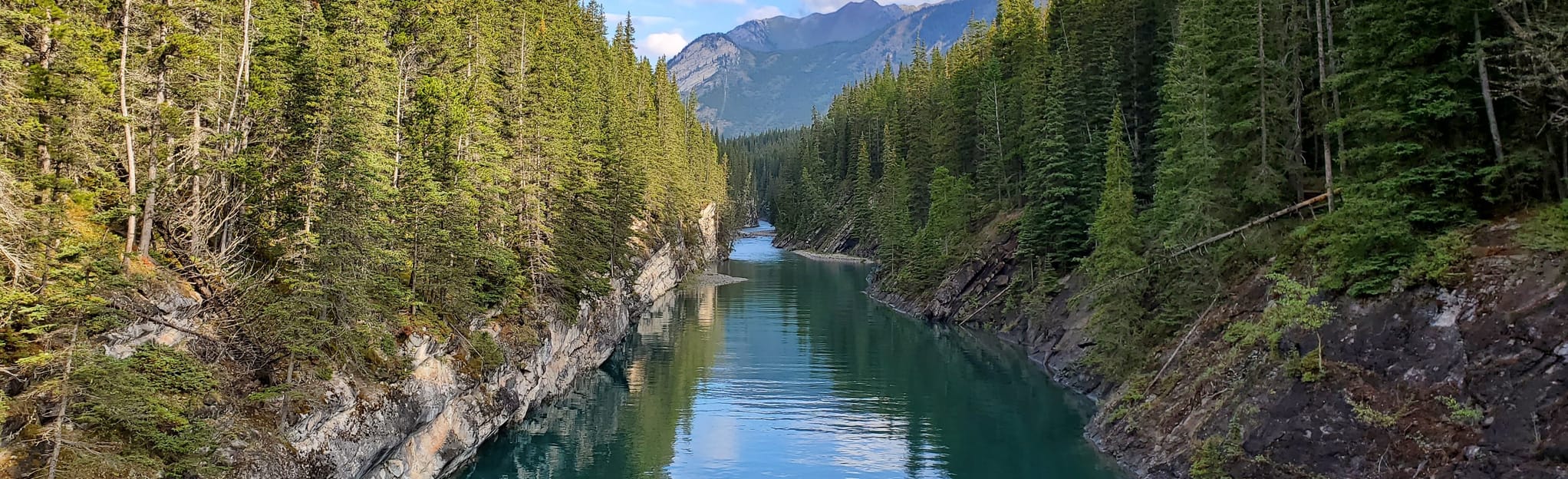 Stewart Canyon Trail, Alberta, Canada - 1,796 Reviews, Map | AllTrails