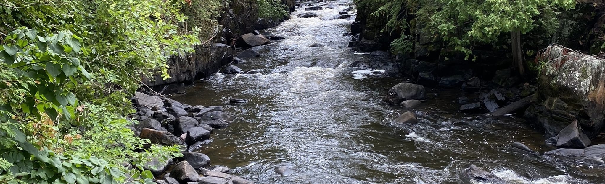 Crowe River Gorge Trail, Ontario, Canada - 7 Reviews, Map | AllTrails