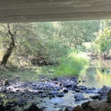 Springwater Corridor Trail, Oregon - 283 Reviews, Map | AllTrails