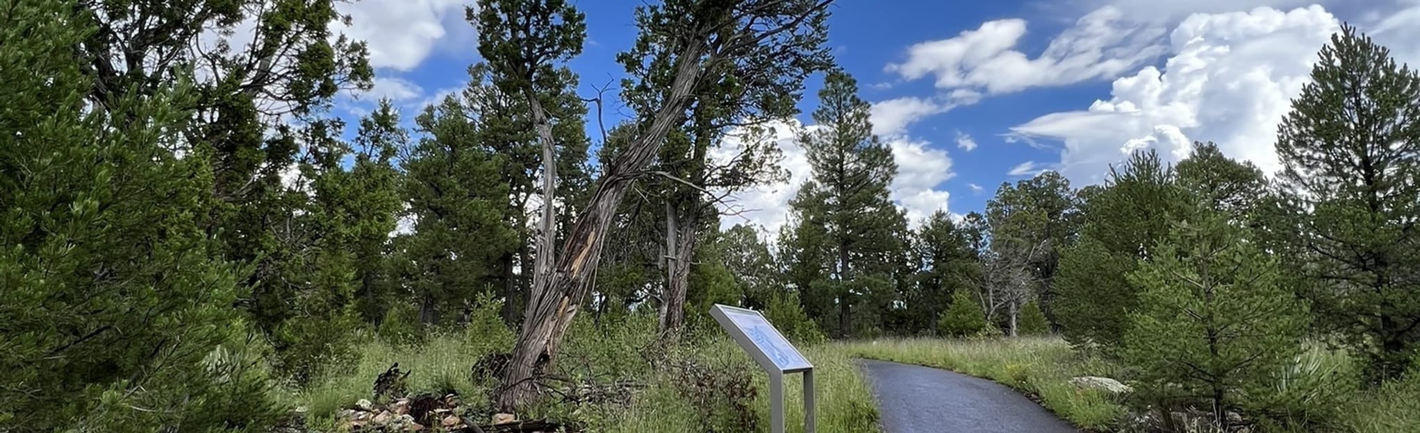 Walnut Canyon Rim and Ruins Loop, Arizona - 499 Reviews, Map | AllTrails