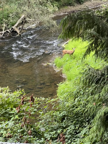 Best Hikes and Trails in Al Borlin Park | AllTrails