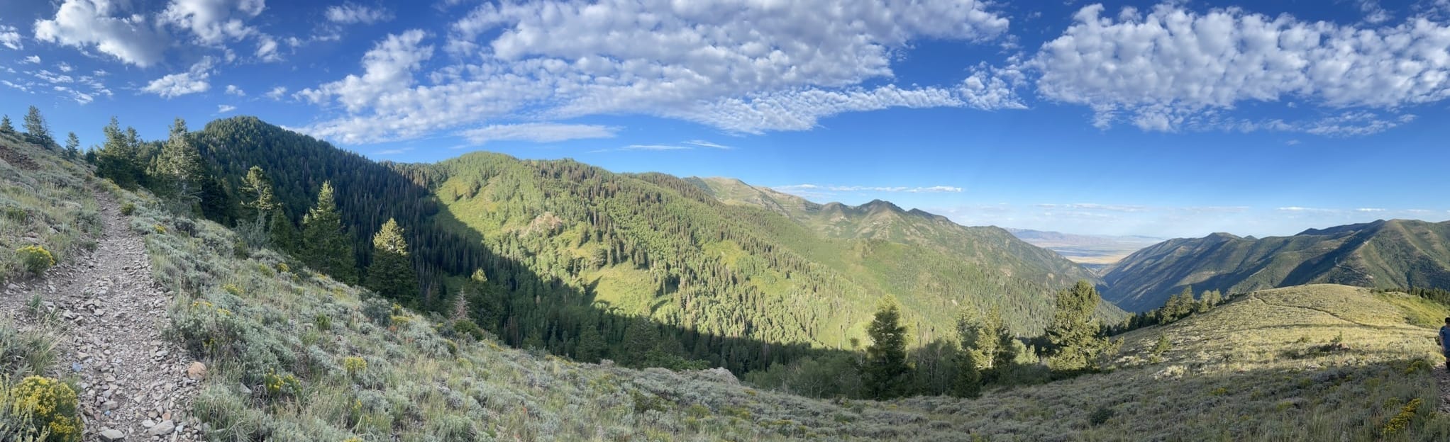Butterfield Peak and Kelsey Saddle - Utah | AllTrails