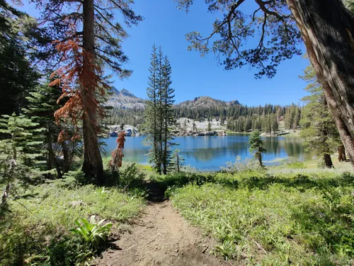 10 Best Hikes and Trails in Sierra National Forest | AllTrails