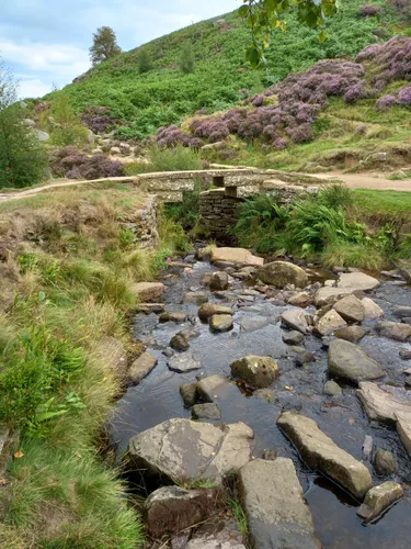 10 Best Walking Trails in Haworth | AllTrails