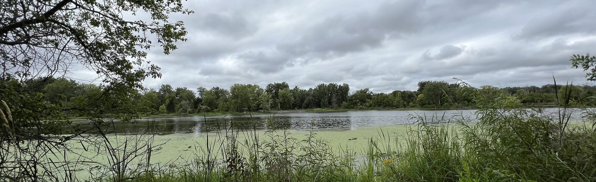 Tobico Lagoon Trail: 185 Reviews, Map - Michigan | AllTrails