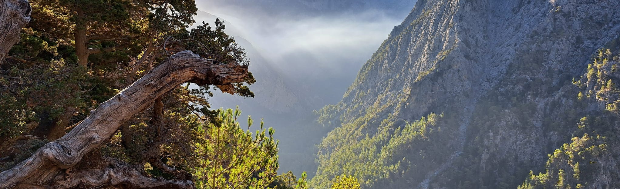 Samaria Gorge: 485 Reviews, Map - Crete, Greece | AllTrails