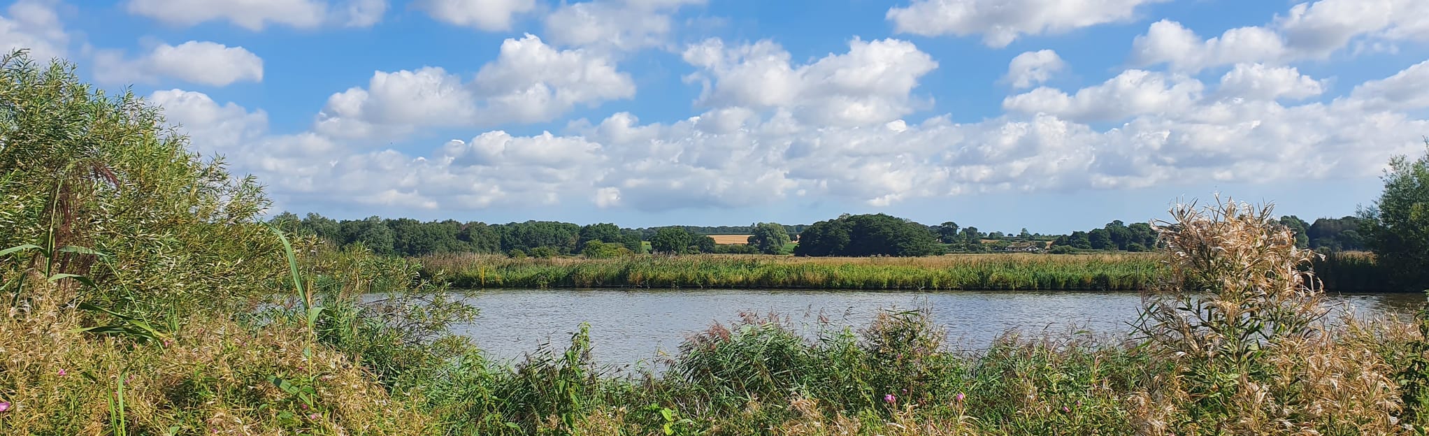 Rockland Ramble Circular, Norfolk, England - 143 Reviews, Map | AllTrails