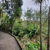 Onepoto Domain Loop, Auckland, New Zealand - 42 Reviews, Map | AllTrails
