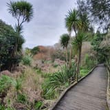 Onepoto Domain Loop, Auckland, New Zealand - 42 Reviews, Map | AllTrails