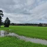 Onepoto Domain Loop, Auckland, New Zealand - 42 Reviews, Map | AllTrails