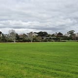 Onepoto Domain Loop, Auckland, New Zealand - 42 Reviews, Map | AllTrails