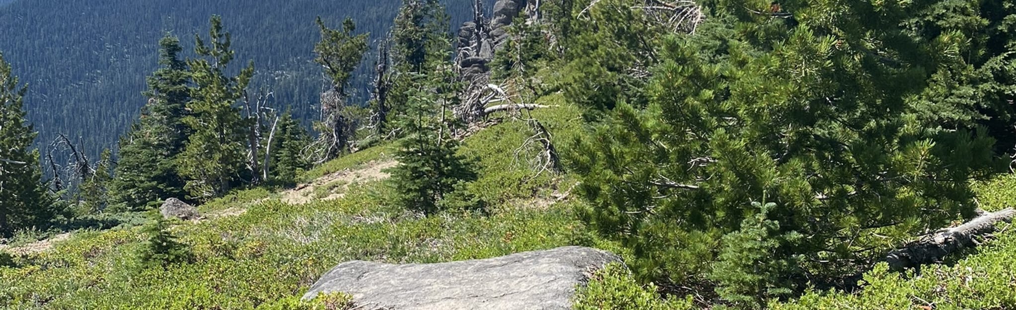 Flag Point and Lookout Mountain via Divide Trail, Oregon - 12 Reviews ...