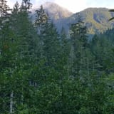 Shady Lane Trail, Washington - 161 Reviews, Map | AllTrails