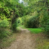 Elk Run, Virginia - 257 Reviews, Map | AllTrails