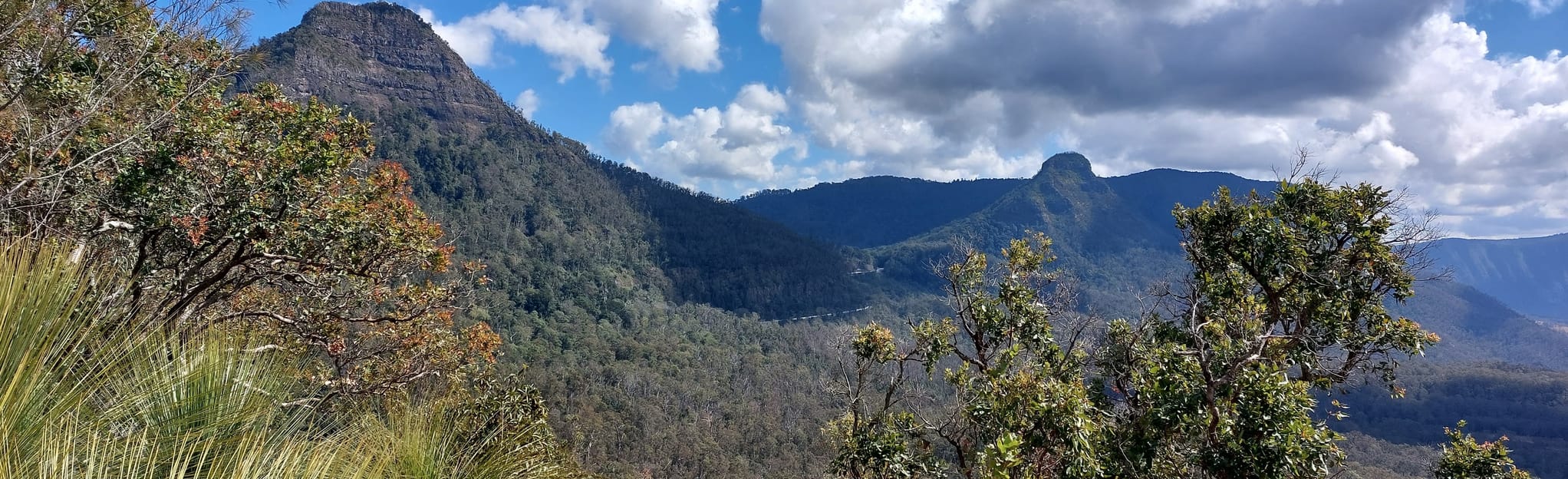 Spicer's Gap and Mount Mathieson - Queensland, Australia | AllTrails