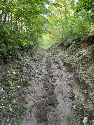 Best Hikes and Trails in Hungerford Lake Recreation Area | AllTrails