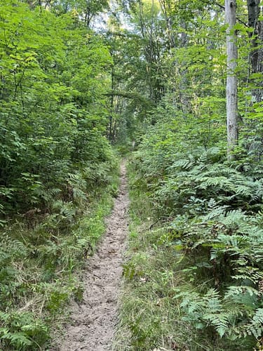 Best Hikes and Trails in Hungerford Lake Recreation Area | AllTrails