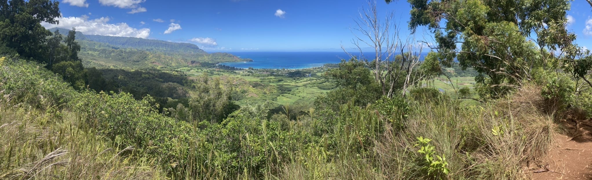 Okolehao Viewpoint via Okolehao Trail: 2033 Reviews, Map - Kaua'i ...