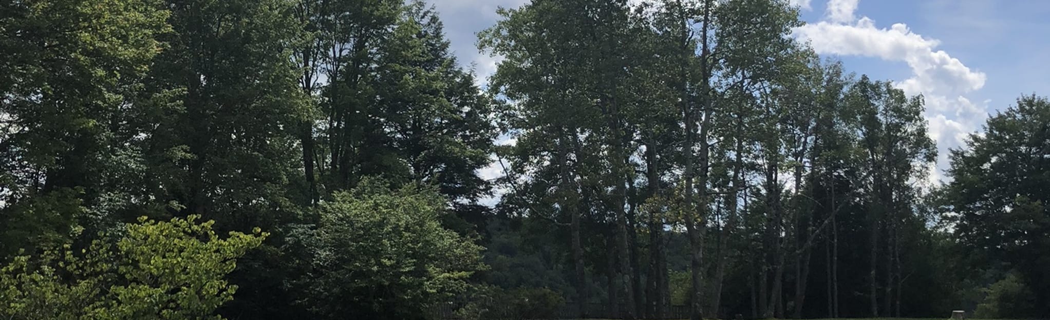 Pendleton Point Overlook: 143 Reviews, Map - West Virginia | AllTrails