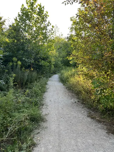 Best Hikes and Trails in Deer Run Park | AllTrails
