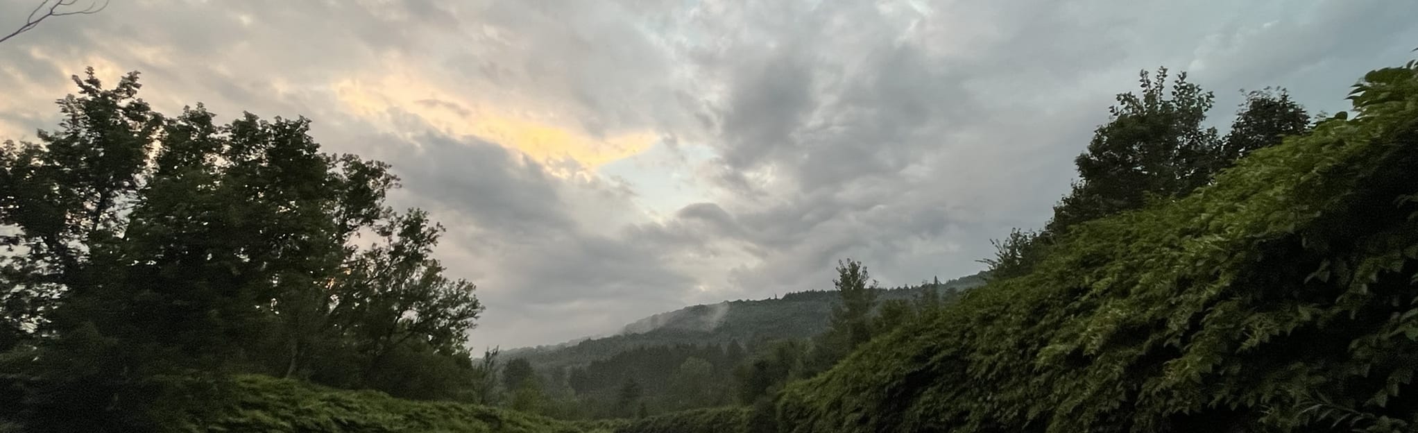 Austin Walk Trail, Vermont - 15 Reviews, Map | AllTrails