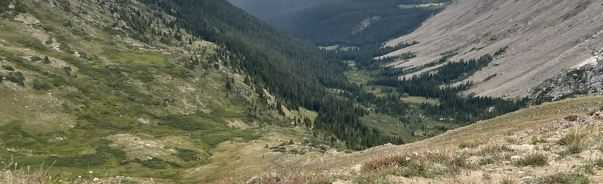South Fork Trail, Colorado - 6 Reviews, Map | AllTrails