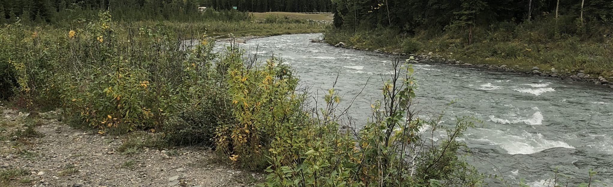 Riley Creek Trail: 5 Reviews, Map - Alaska | AllTrails