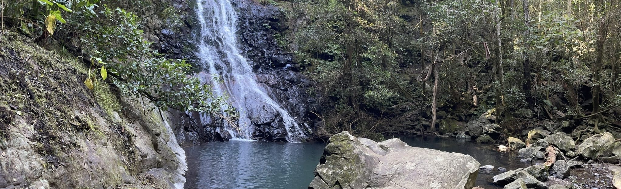 Syvester's and Mount Castle Lookout and Araucaria Falls : 144 Photos ...