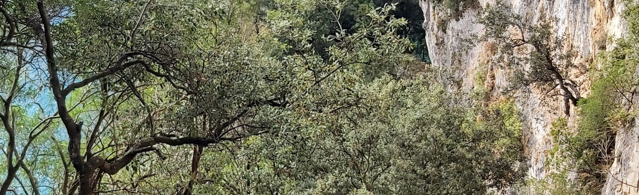Peña Berana - La Merana - Faro del Caballo - Cantabria, Spain | AllTrails