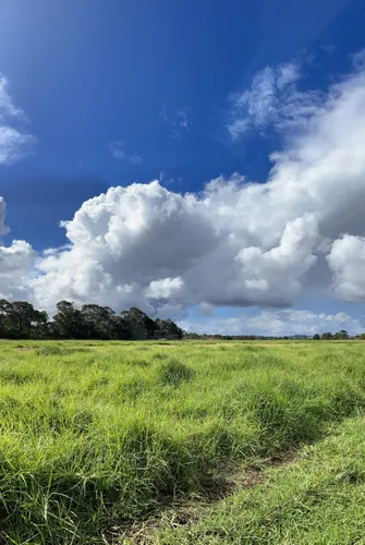 Best Hikes and Trails in George Kendall Riverside Park | AllTrails