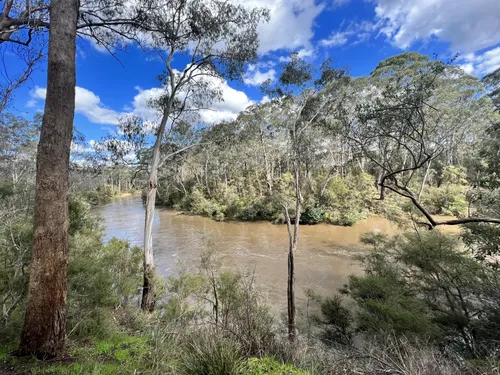10 Best Hikes and Trails in Warrandyte State Park | AllTrails
