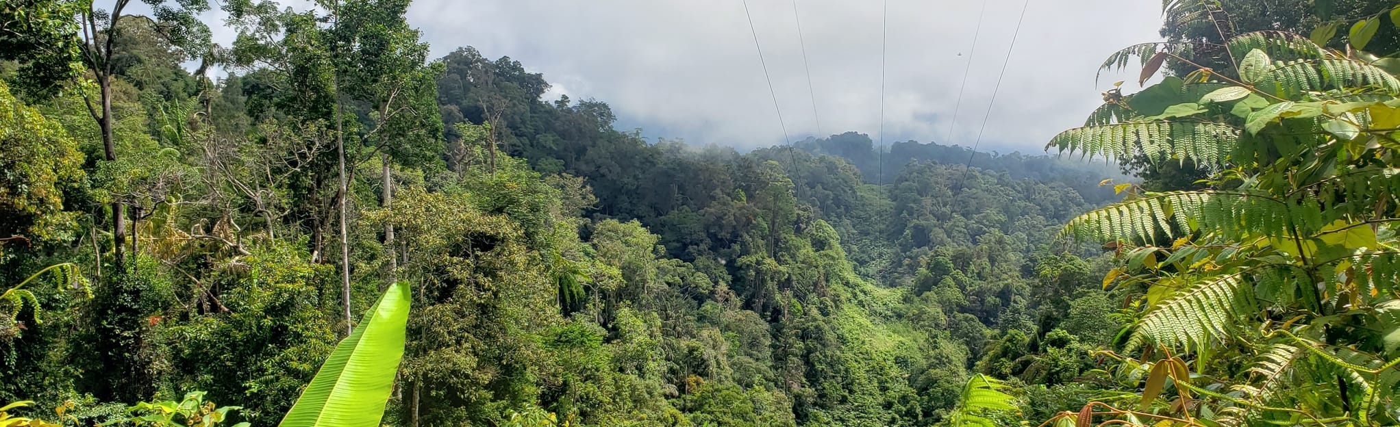 Bishop Trail Loop, Pahang, Malaysia - 52 Reviews, Map | AllTrails