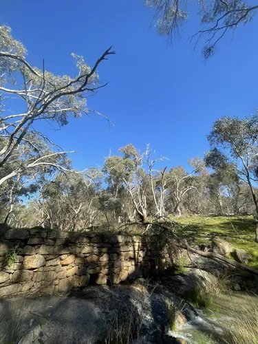 Best Hikes and Trails in Warby Ranges State Park | AllTrails