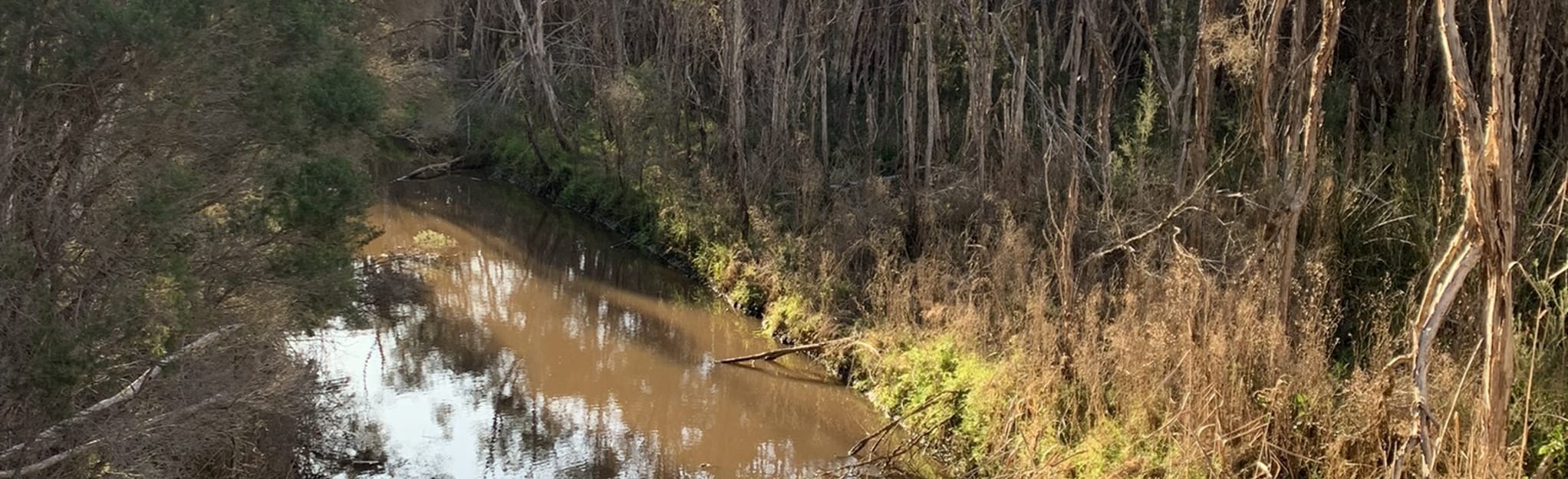 Nowa Nowa Wetlands Walk, Victoria, Australia - 6 Reviews, Map | AllTrails