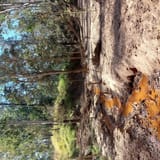 Wivenhoe Hill Red, White, and Blue Loop, Queensland, Australia - 71 ...