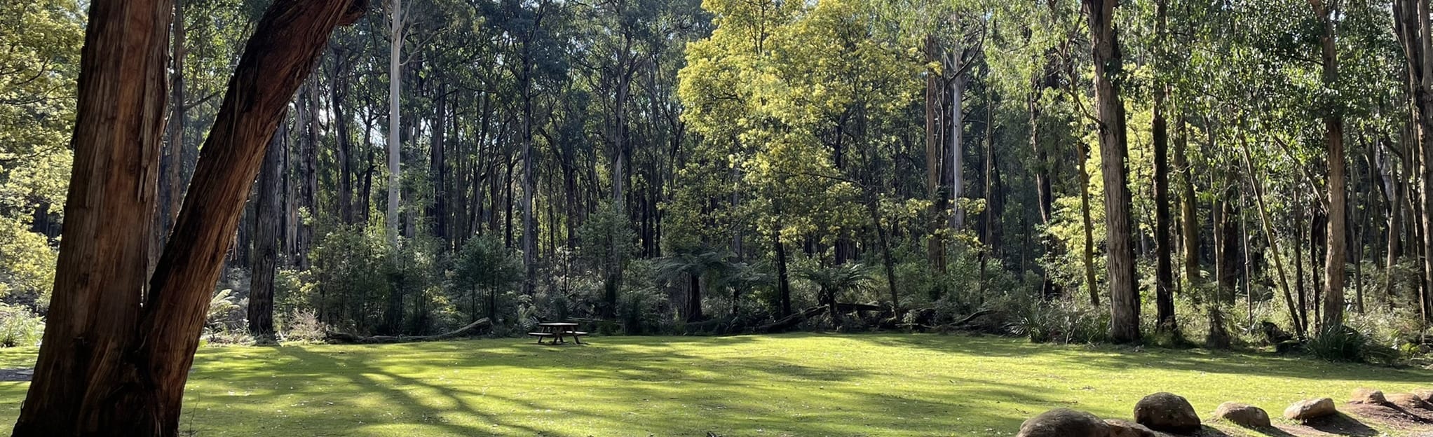 Rifle Range Gully Loop, Victoria, Australia - 33 Reviews, Map | AllTrails