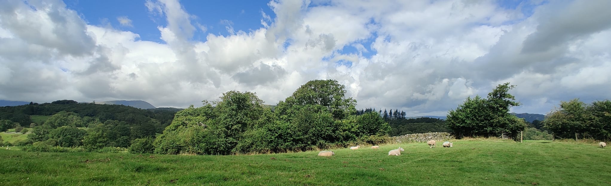 Wray Castle to Blelham Tarn Circular: 46 Reviews, Map - Cumbria ...