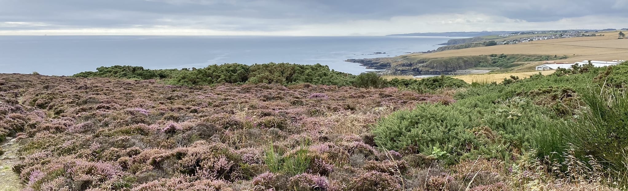 Old Portlethen and Findon Moor Circular: 133 foto's - Aberdeen ...