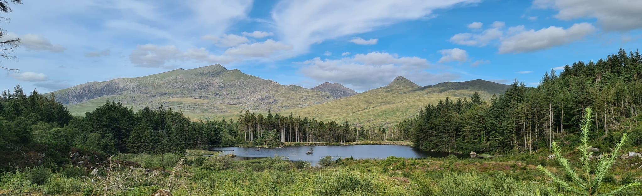 Meillionen to Llyn Llywelyn, Gwynedd, Wales - 23 Reviews, Map | AllTrails