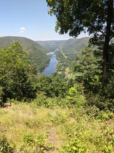 Best Hikes and Trails in Hyner View State Park | AllTrails
