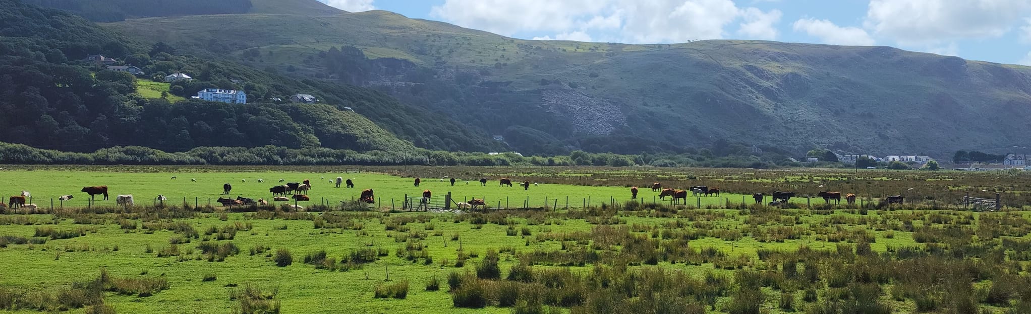 Morfa Mawddach to Barmouth Ferry: 15 Reviews, Map - Gwynedd, Wales ...