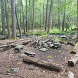 Thunder Swamp Short Loop, Pennsylvania - 83 Reviews, Map | AllTrails