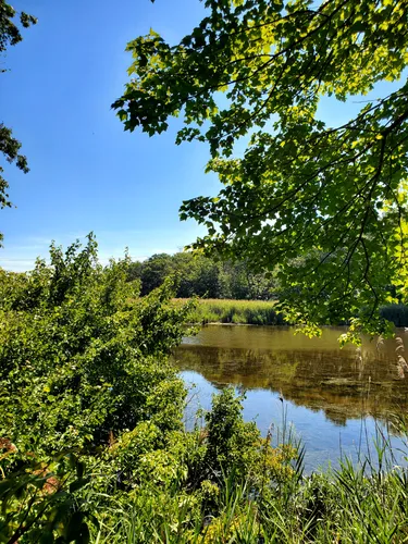 Best Hikes and Trails in Eastern Regional Park | AllTrails